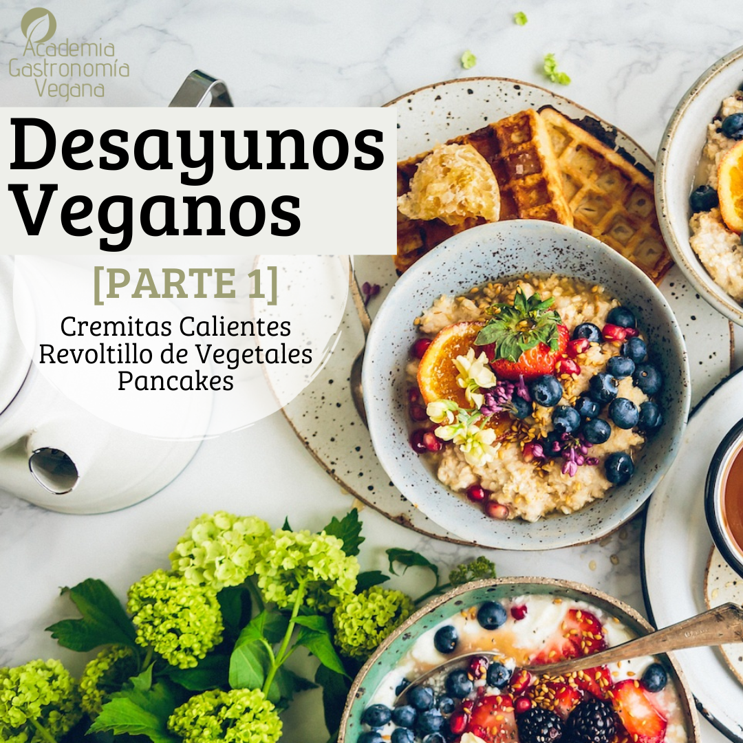 ACADEMIA GASTRONOMIA VEGANA – Academia Gastronomía Vegana